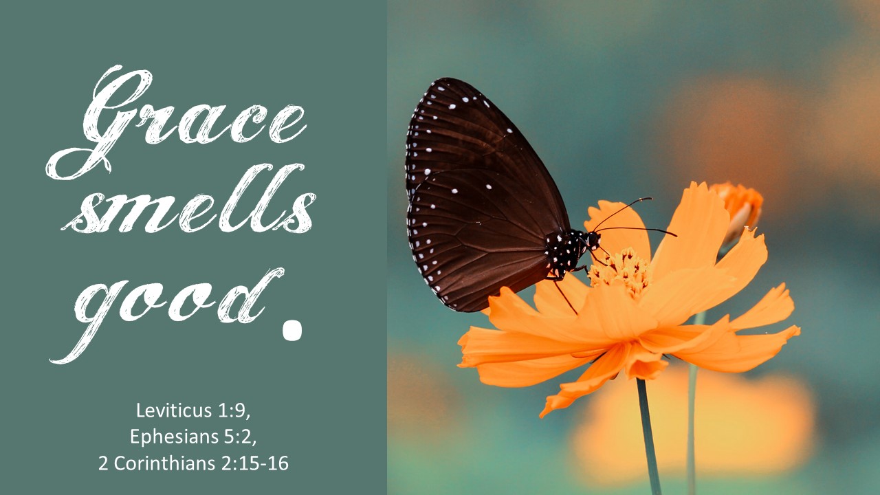 Why All This Talk About Grace? – United Presbyterian Church