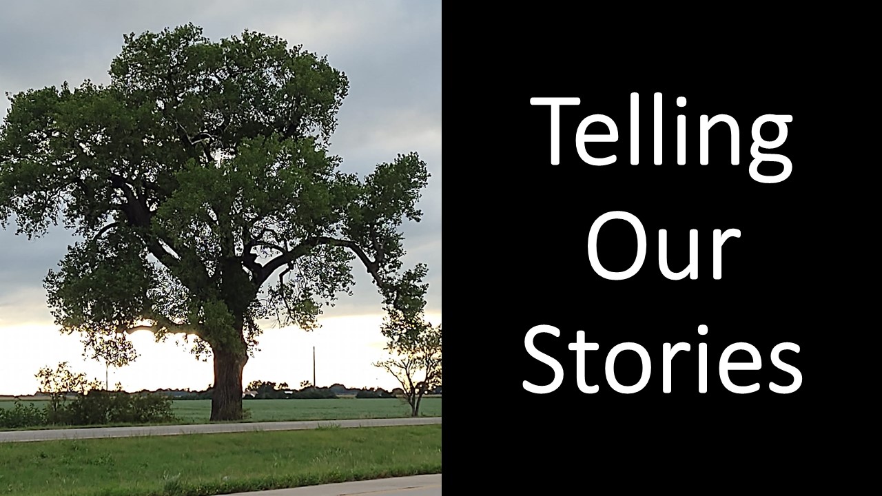 Tree Stories – United Presbyterian Church